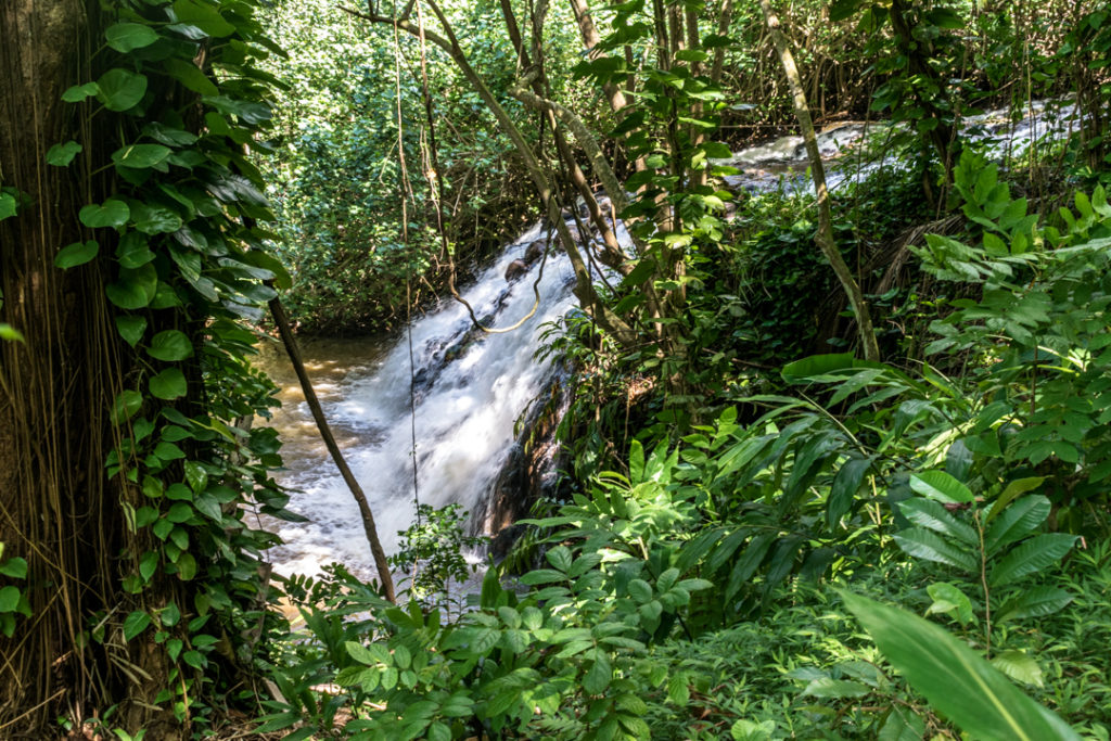 Rappelling Down a Waterfall in Kaua'i with Island Adventures - What to ...